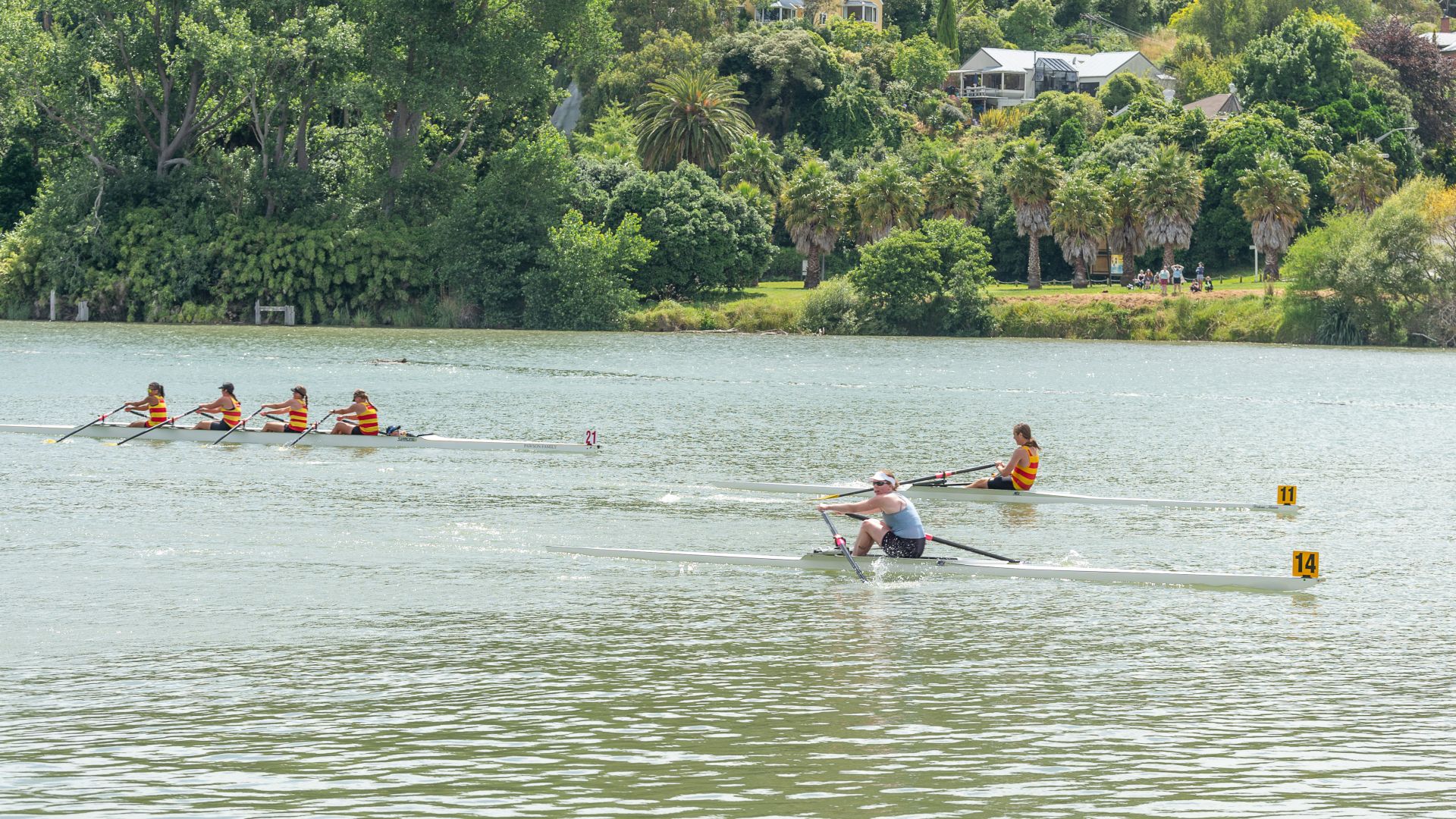 Billy Webb Challenge